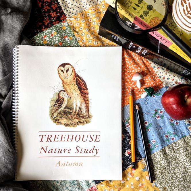 Treehouse Nature Study: Our Morning Time + Beauty Subjects