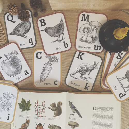 Nature Alphabet Matching & Flashcard Set