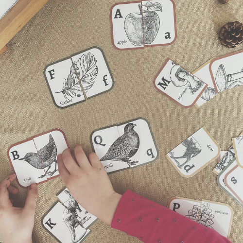 Nature Alphabet Matching & Flashcard Set