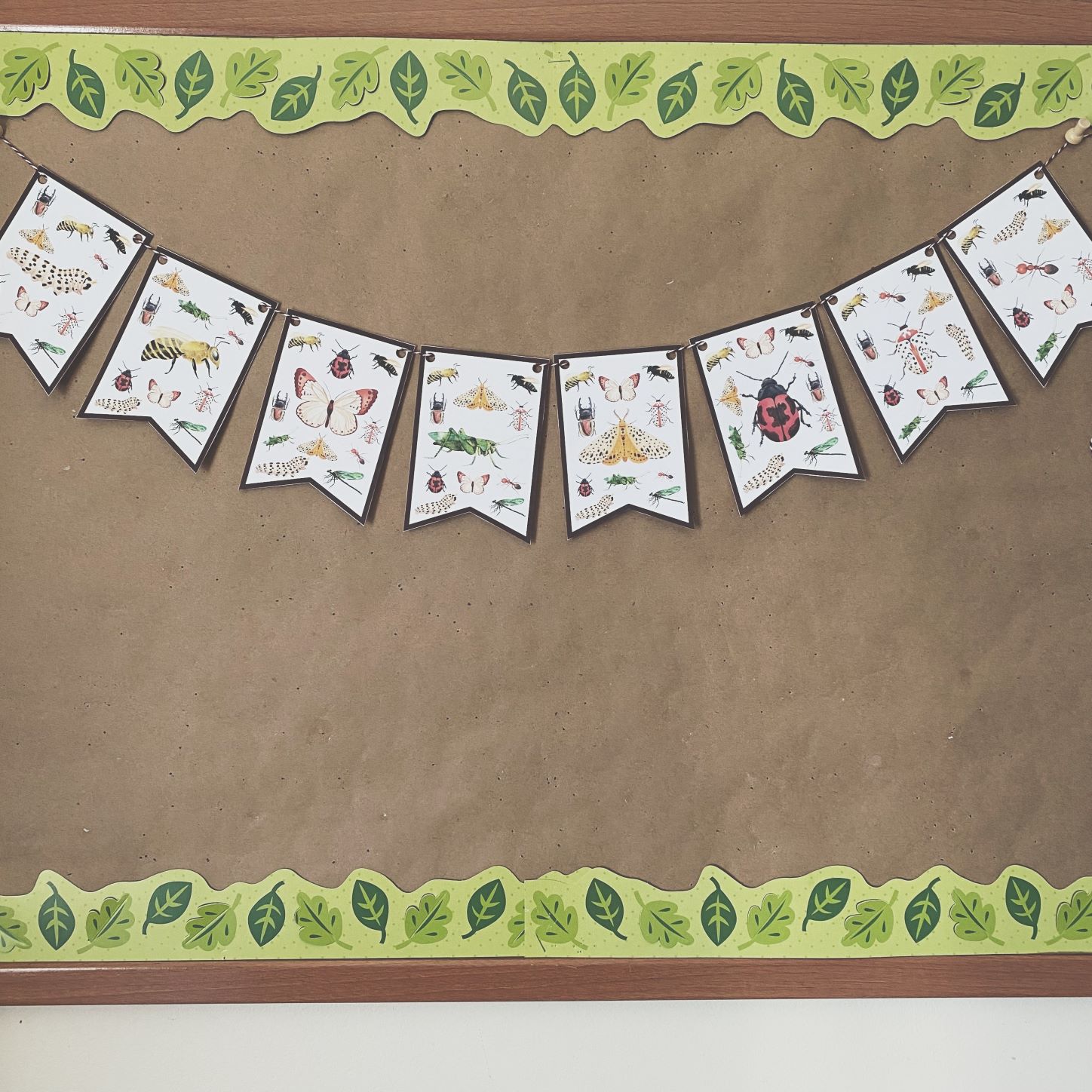 Insects Banner and Poem