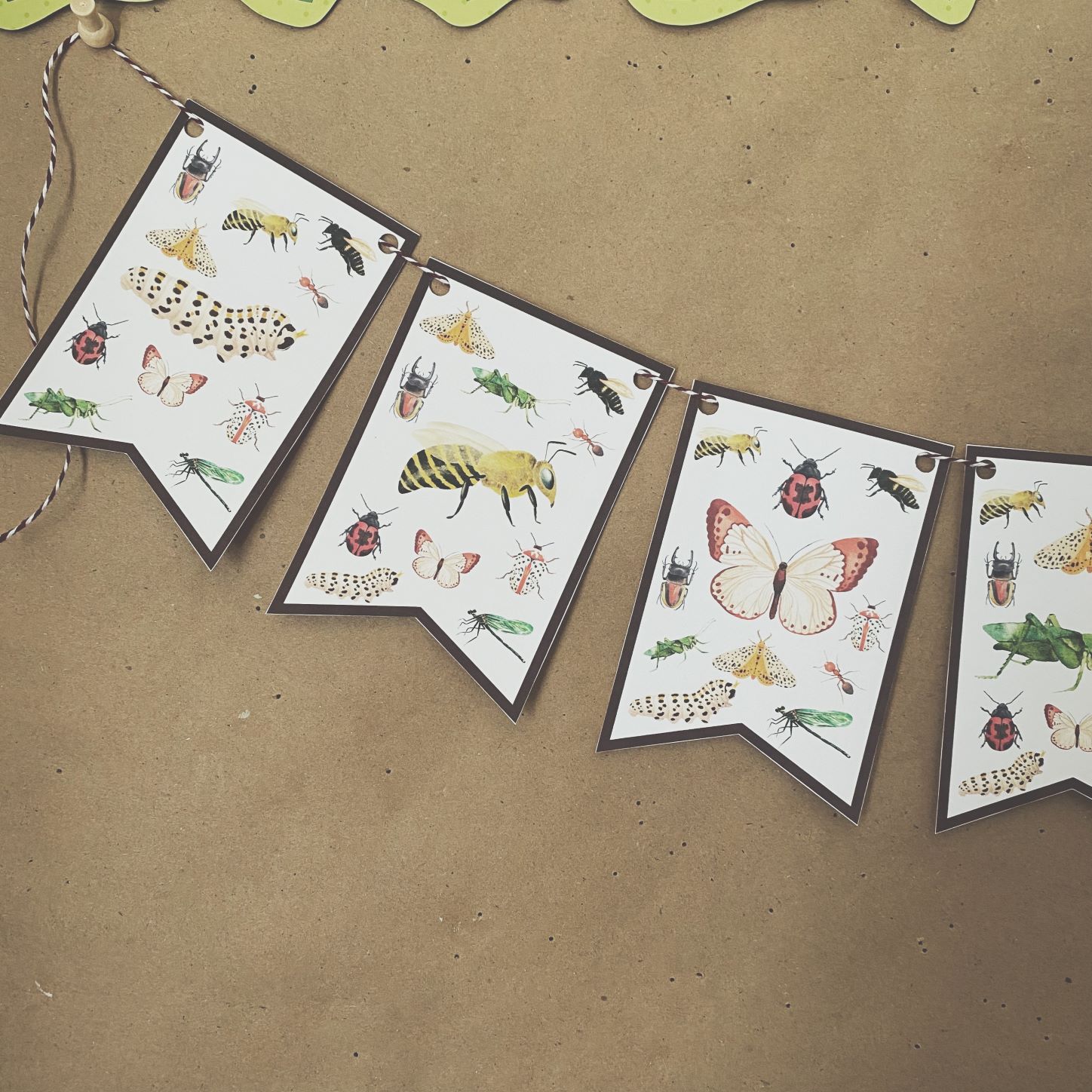 Insects Banner and Poem