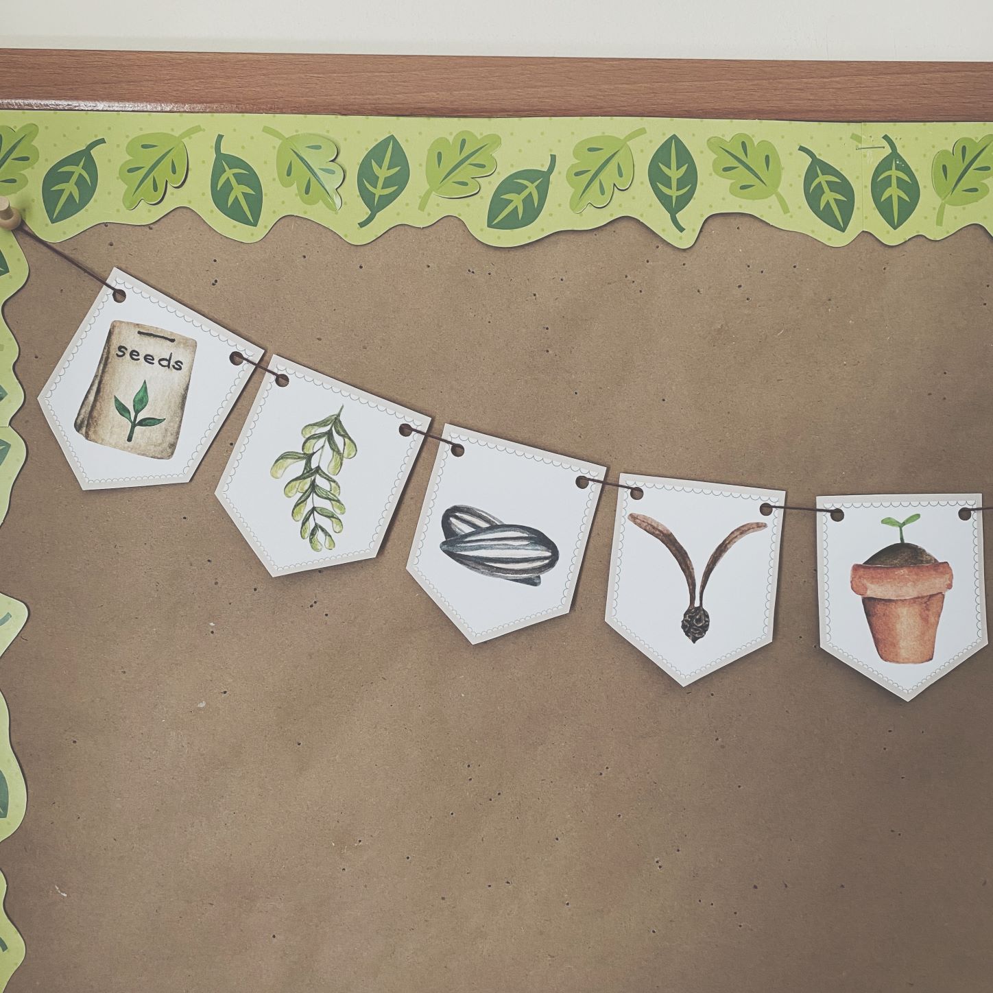 Seeds & Sprouts Banner and Poem