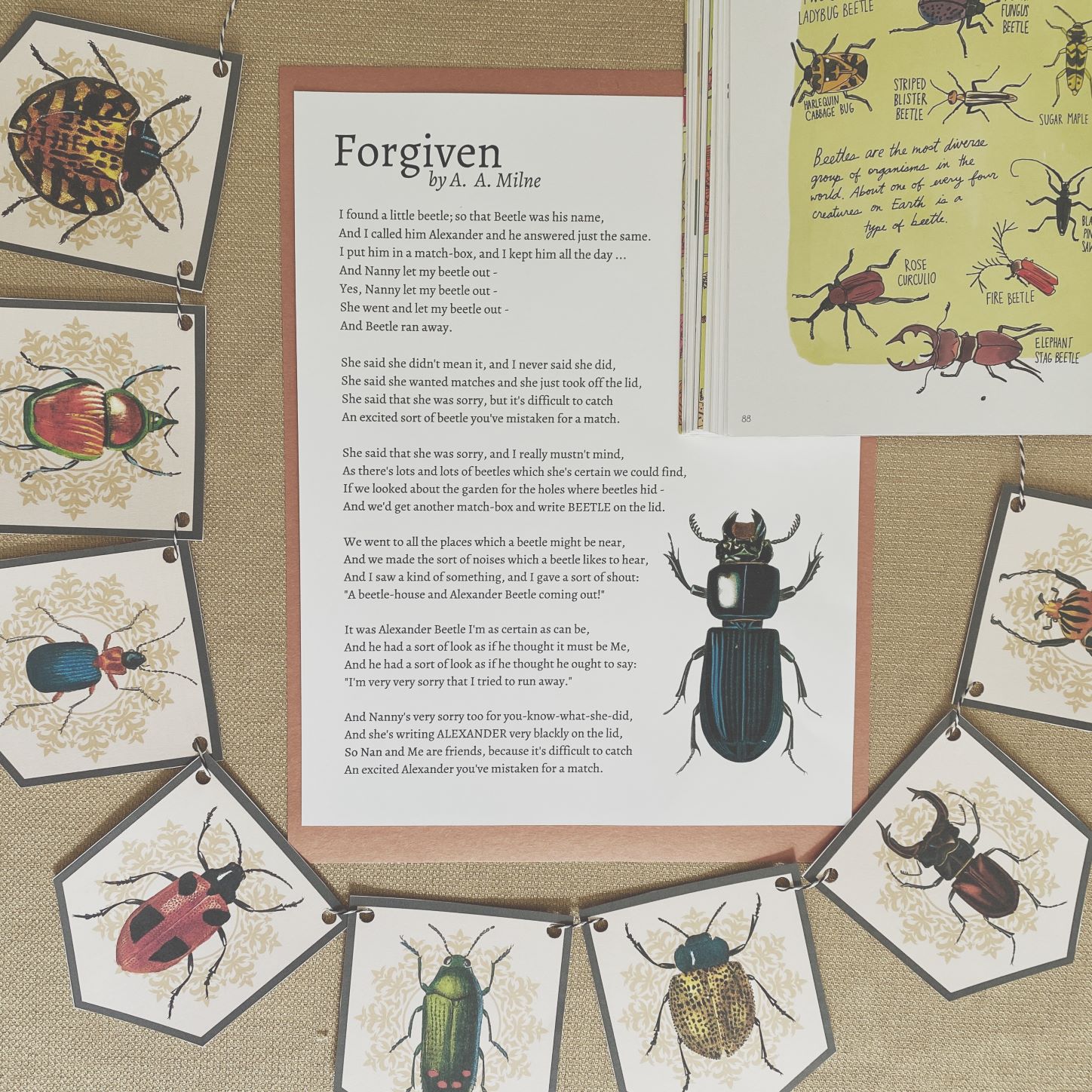 Beetles Banner and Poem