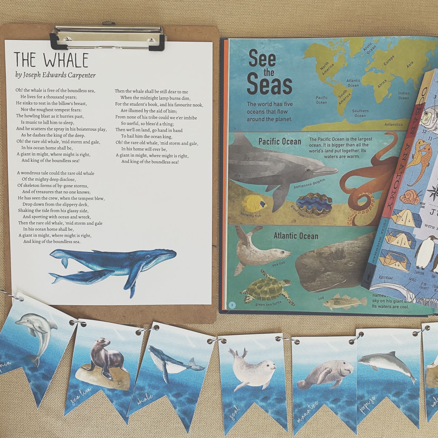 Marine Mammals Banner and Poem