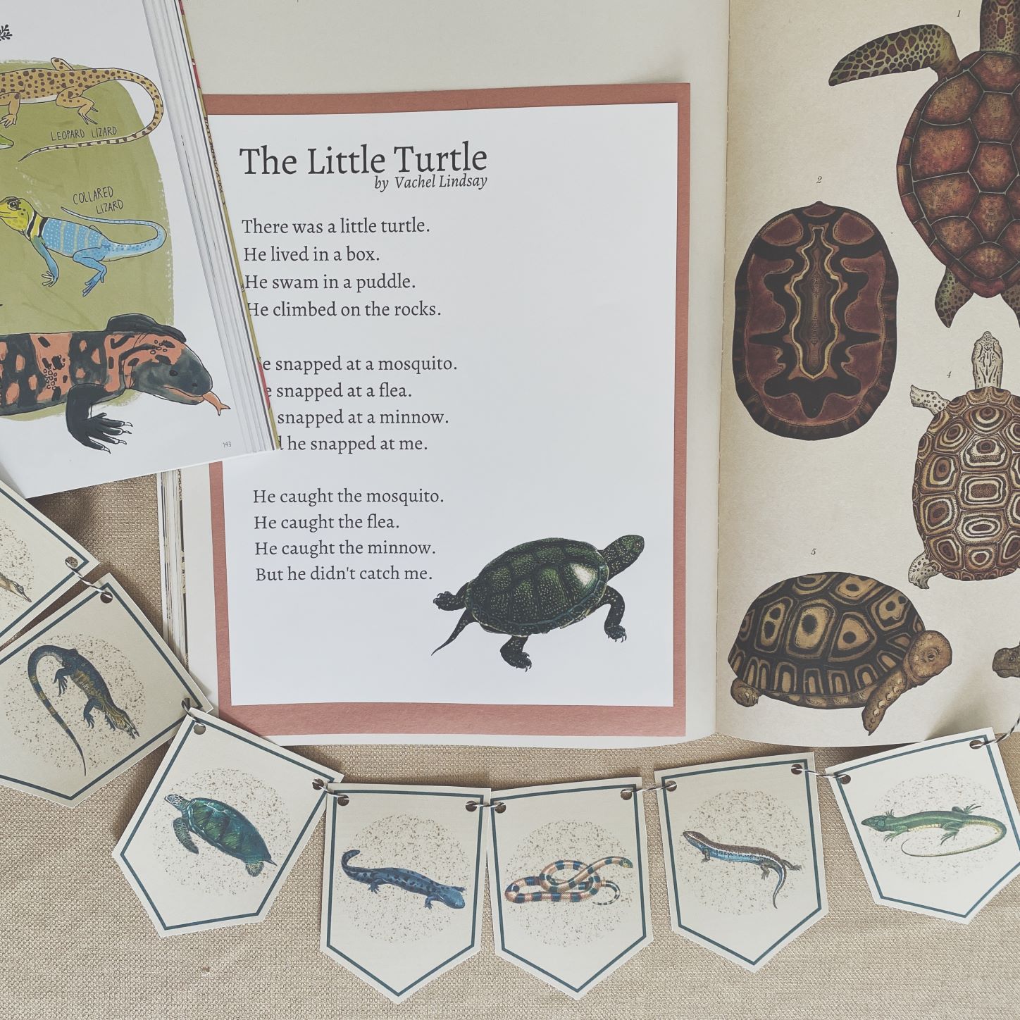 Reptiles Banner and Poem