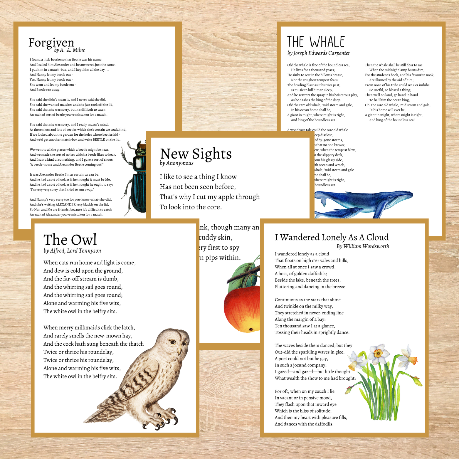 Nature Study Poem Collection